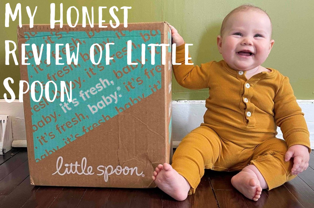 My Honest Review of Little Spoon - Insider Envy